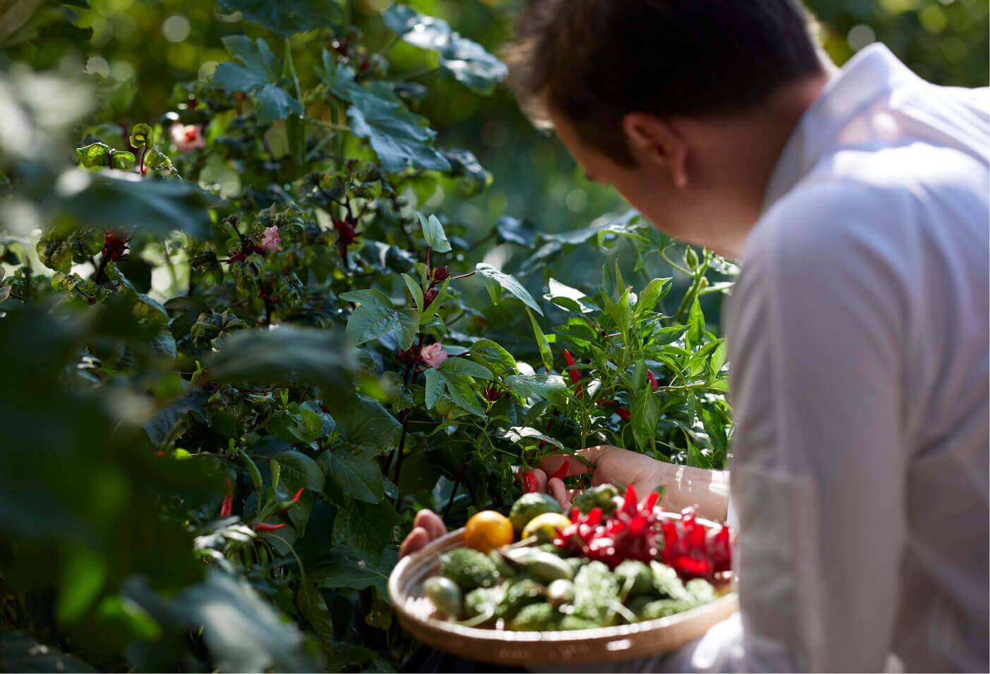 NUTRITION - Let food be thy medicine