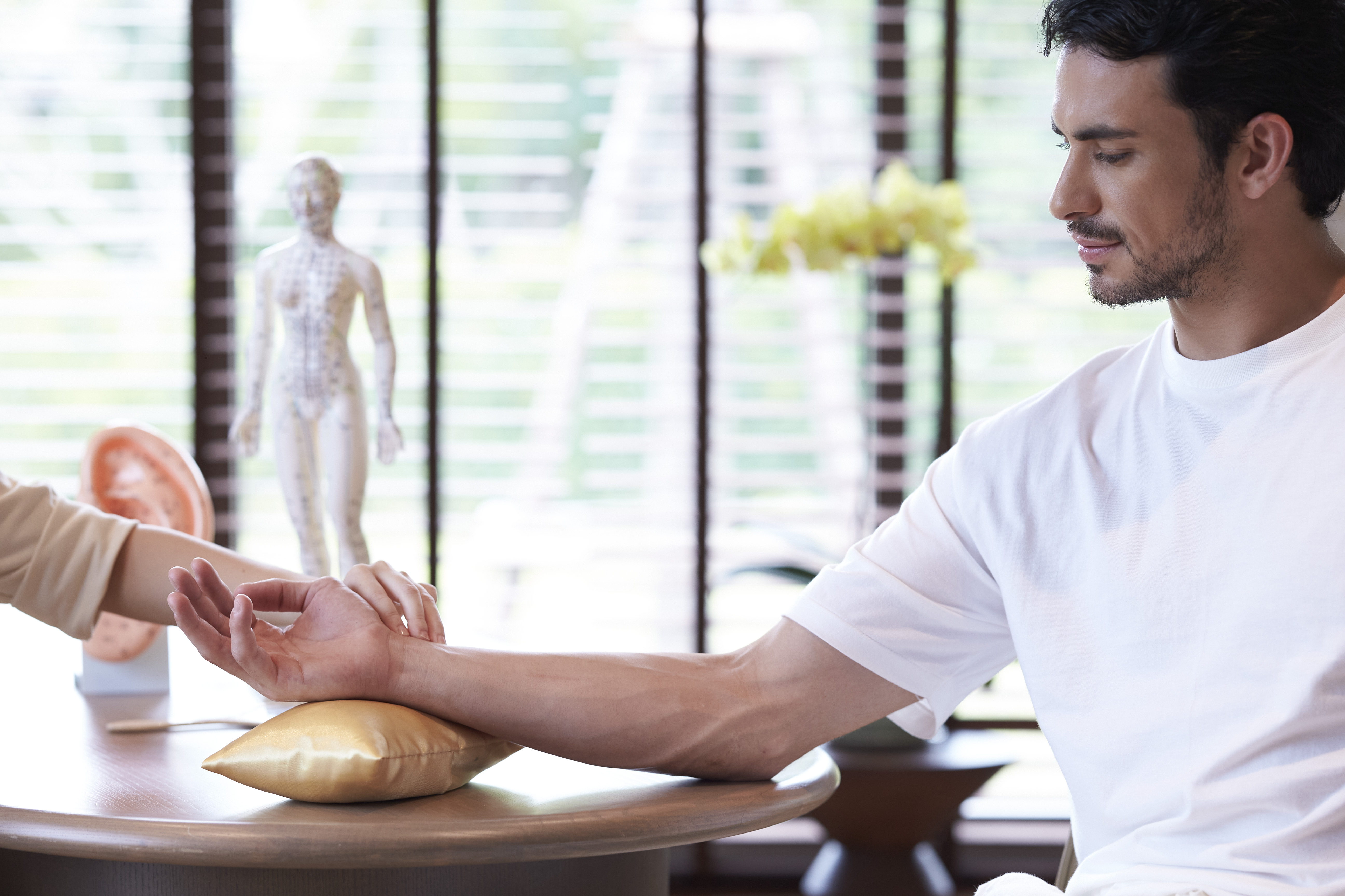 GUT & IMMUNITY SUPPORT PROGRAMME - Strengthen immune system